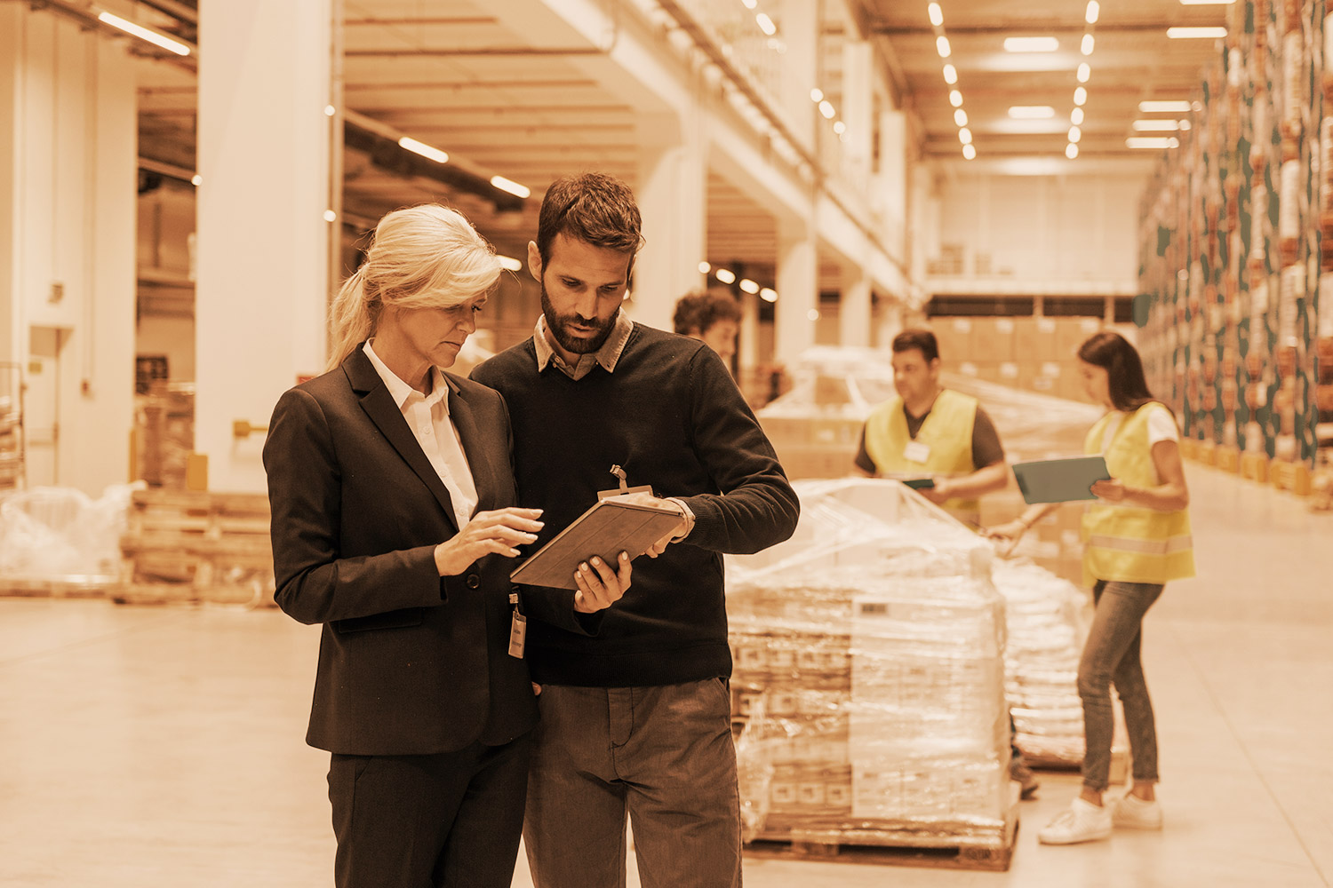 Logistics Management - Cable International